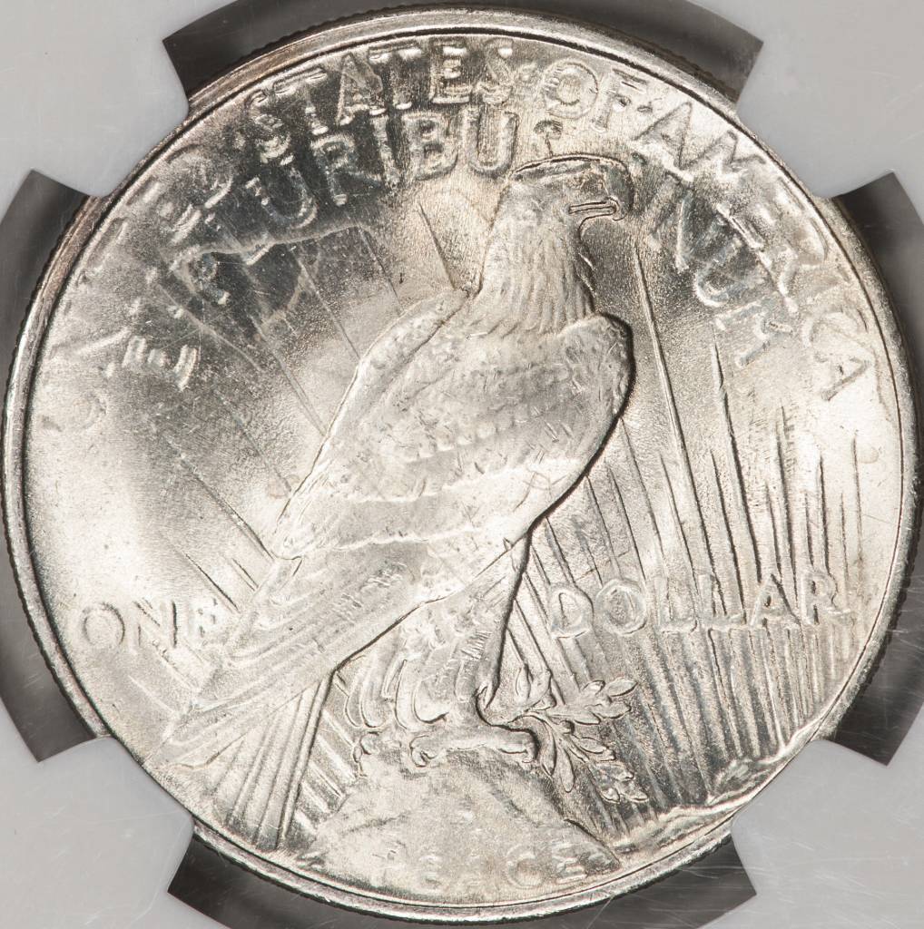 1924 NGC MS64 Peace Silver Dollar - Sahara Coins & Precious Metals 1924 NGC MS64 Peace Silver Dollar - Sahara Coins & Precious Metals