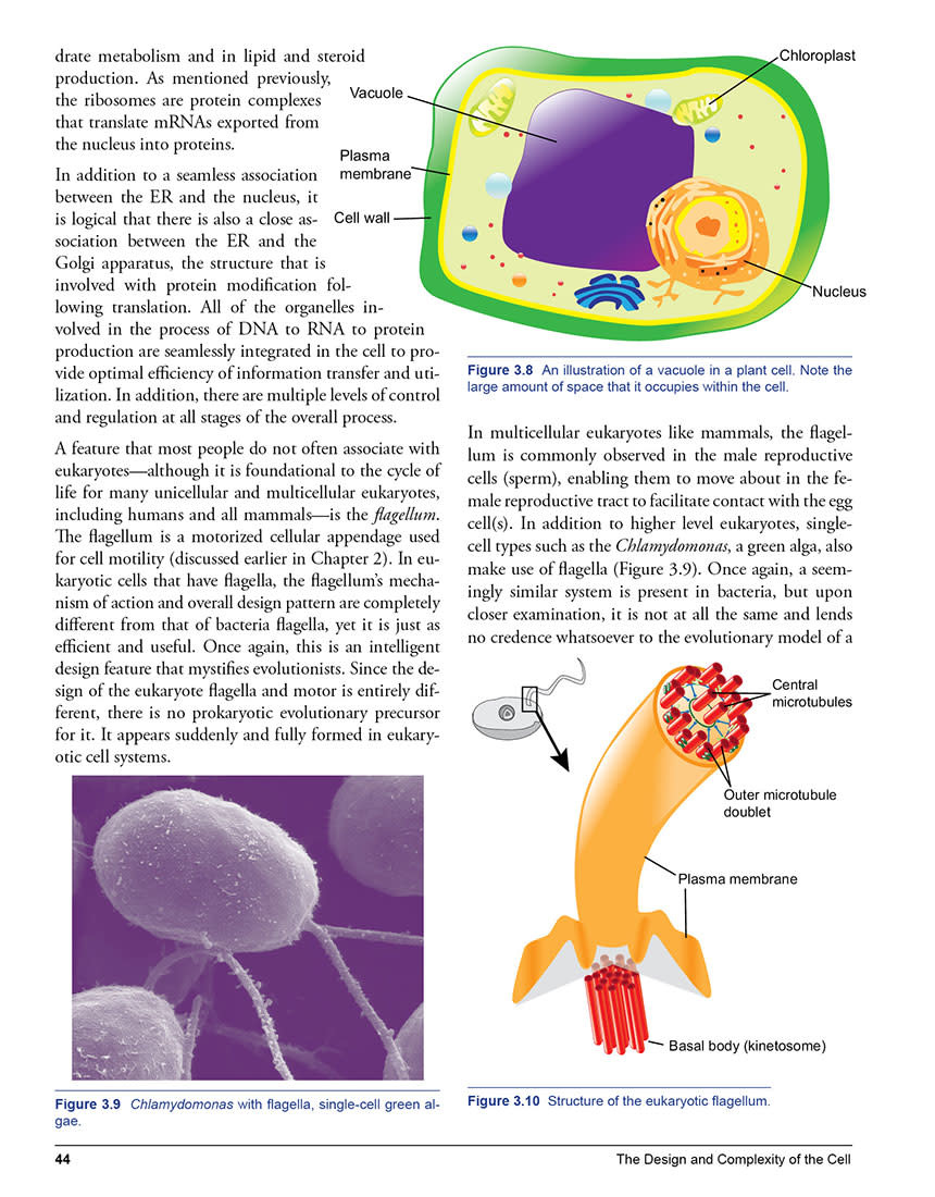 The Design and Complexity of the Cell, by Institute for Creation ...