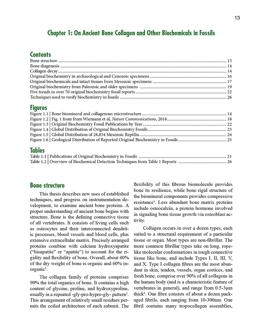 Ancient and Fossil Bone Collagen Remnants - Institute for Creation Research