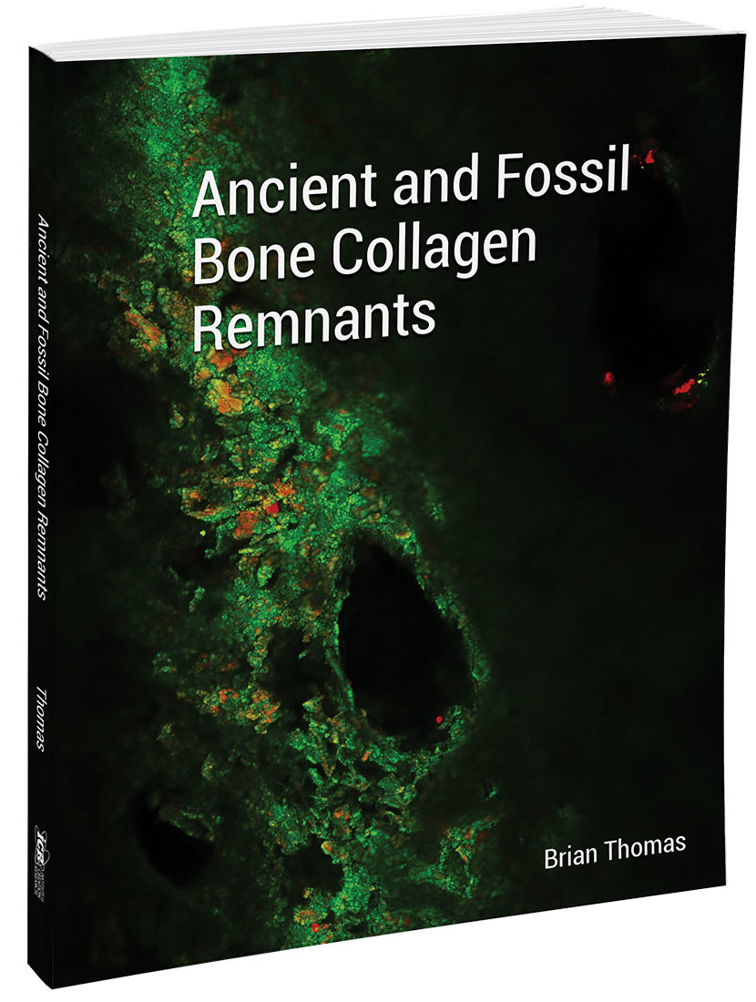 Ancient and Fossil Bone Collagen Remnants - Institute for Creation Research