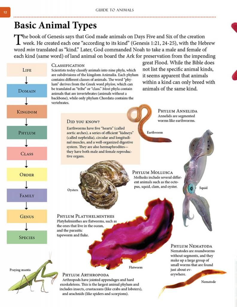 Guide to Animals, by Institute for Creation Research - Institute for ...