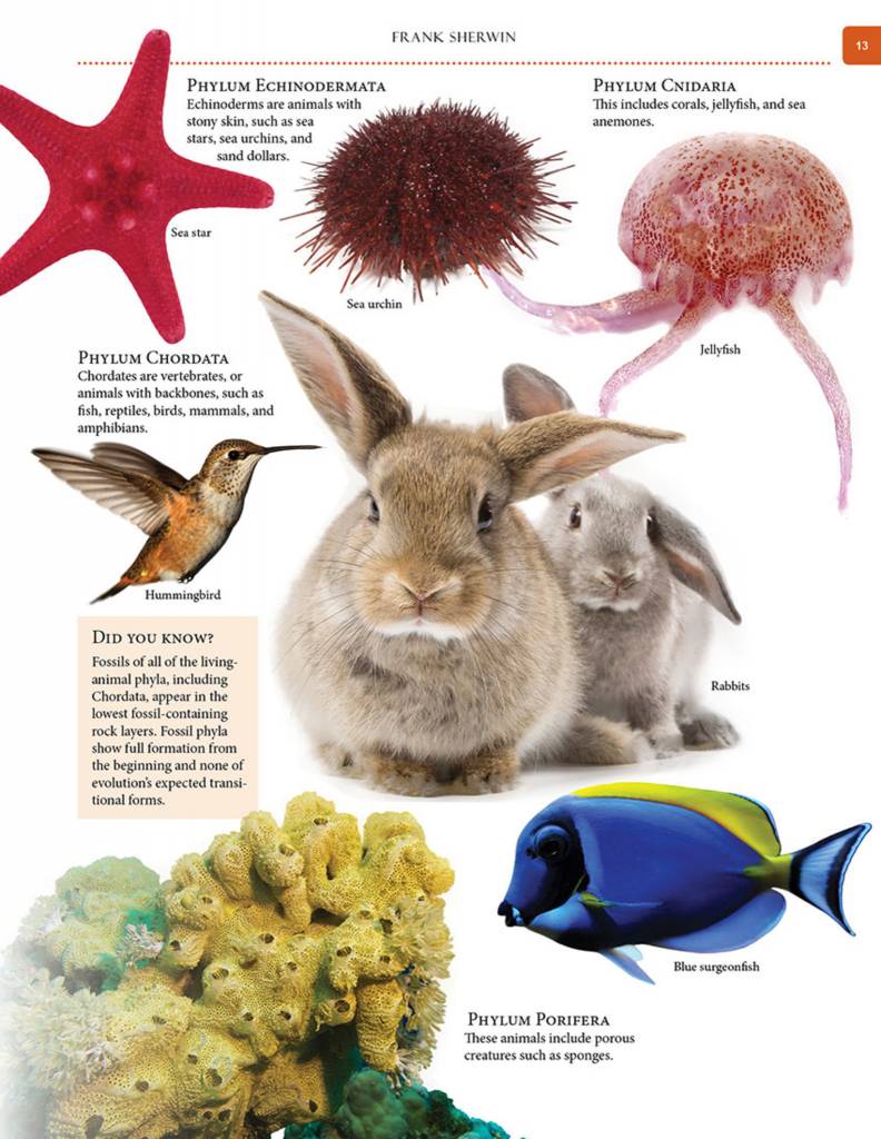 Guide to Animals, by Institute for Creation Research - Institute for ...