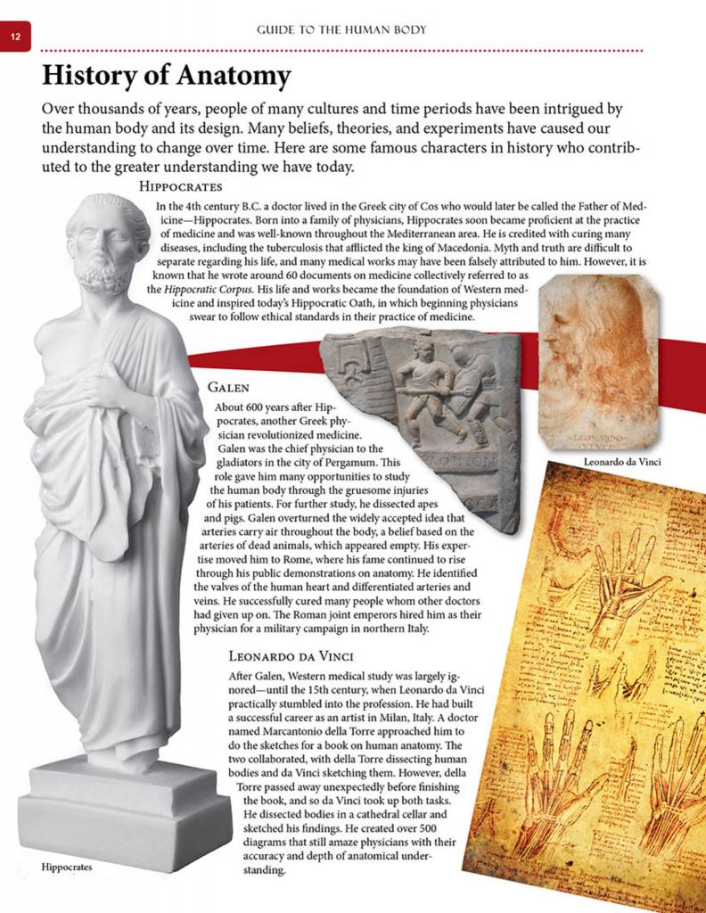 Guide to the Human Body, by Institute for Creation Research - Institute ...