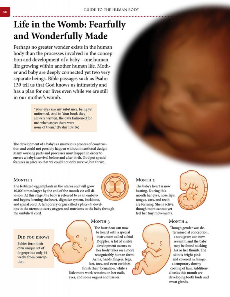 Guide to the Human Body, by Institute for Creation Research - Institute ...