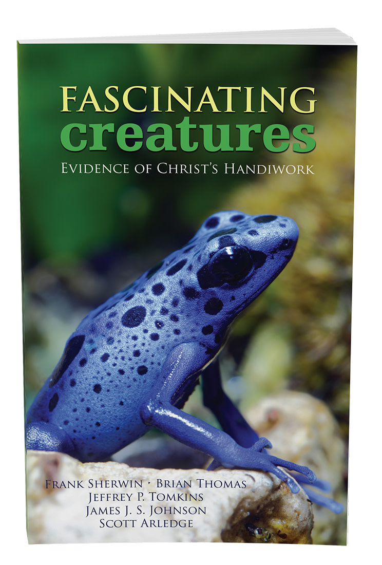 Fascinating Creatures: Evidence of Christ's Handiwork - Institute for ...