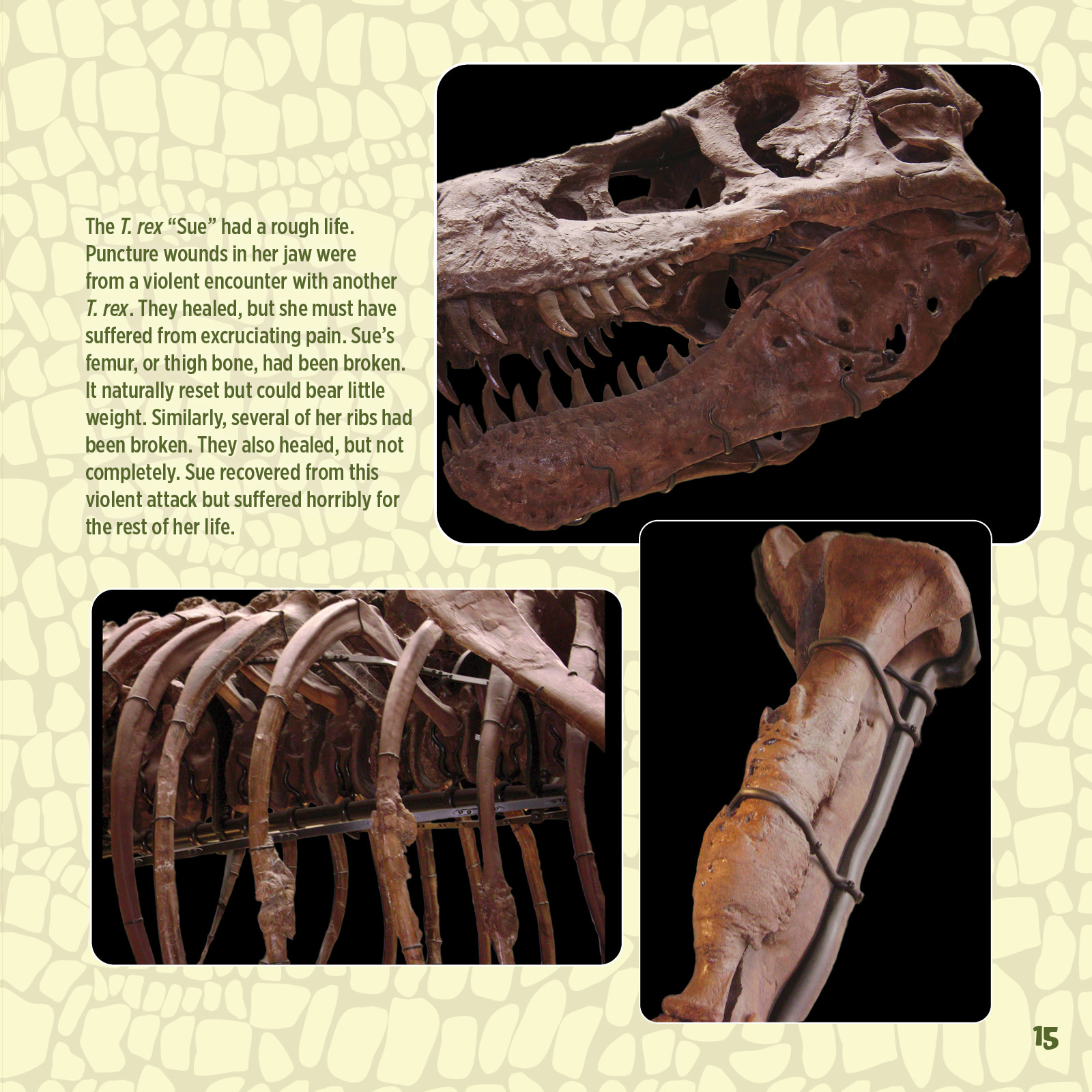 God Created T. Rex - Institute for Creation Research