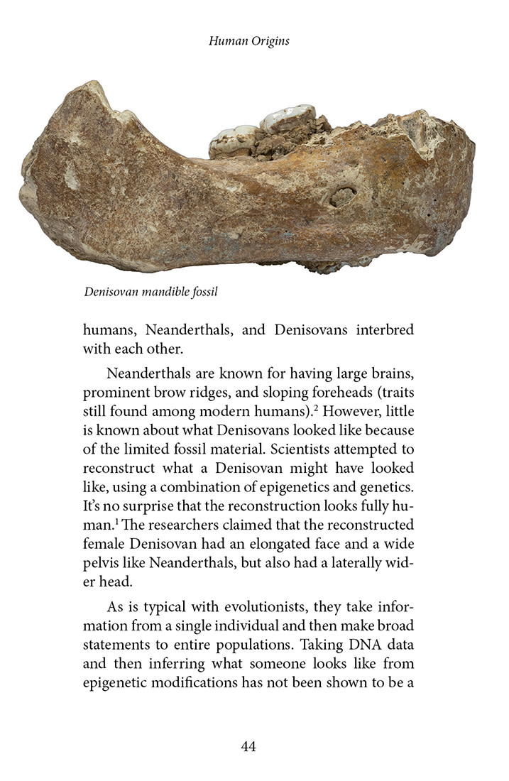 Human Origins - Institute for Creation Research