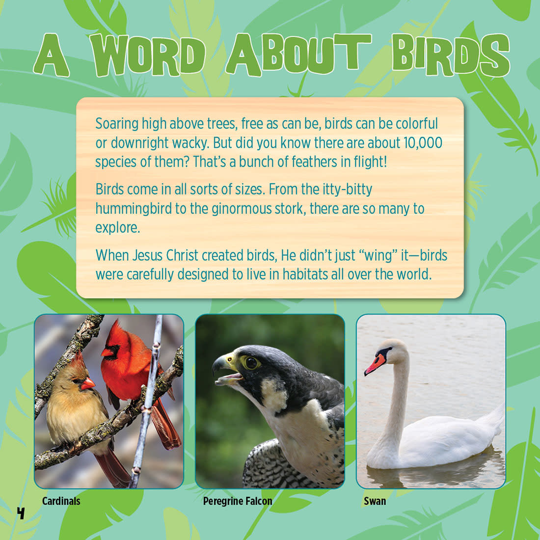 God Created Birds - Institute for Creation Research