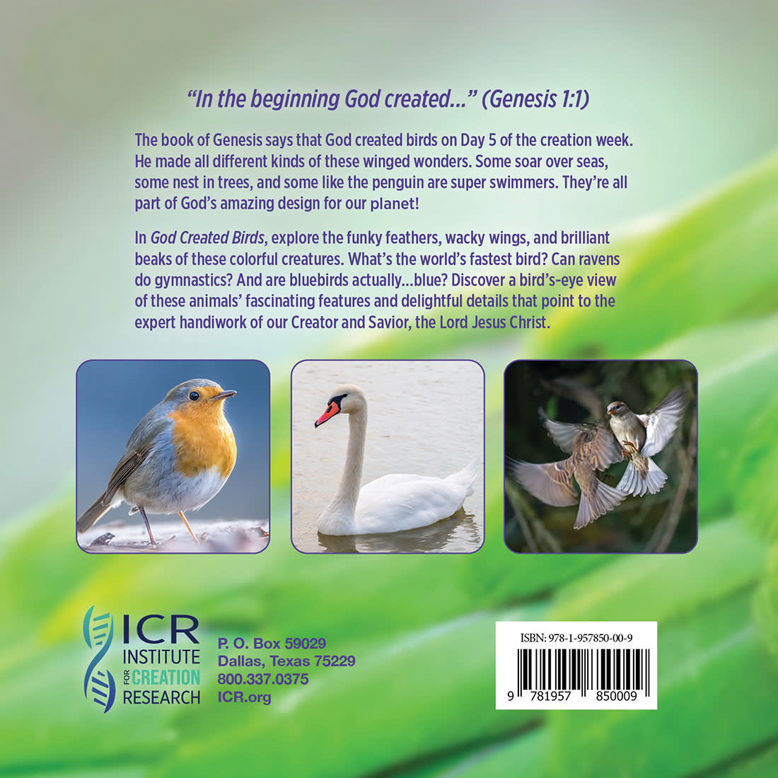 God Created Birds - Institute for Creation Research