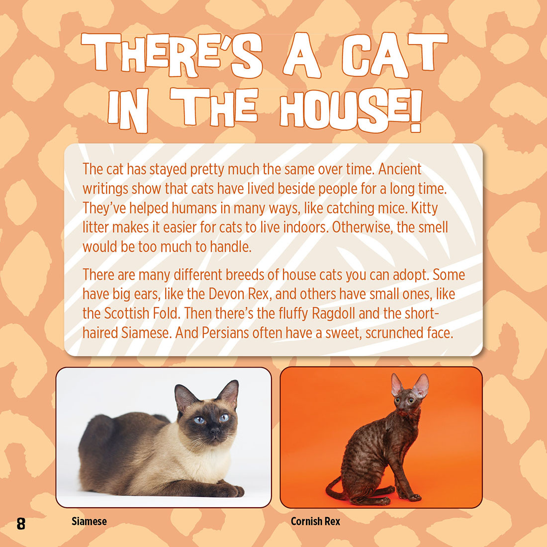 God Created Cats - Institute for Creation Research