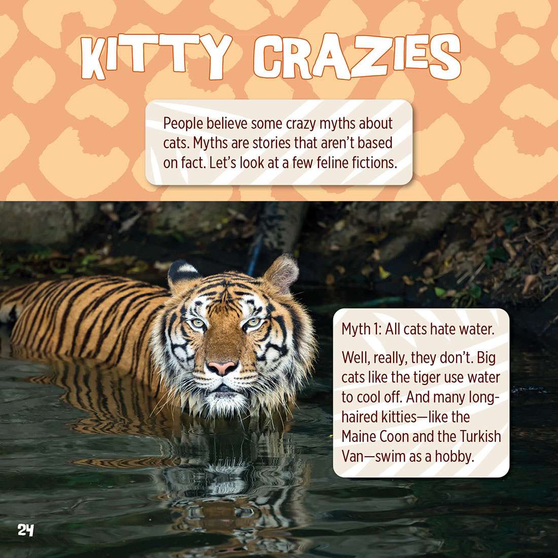 God Created Cats - Institute for Creation Research