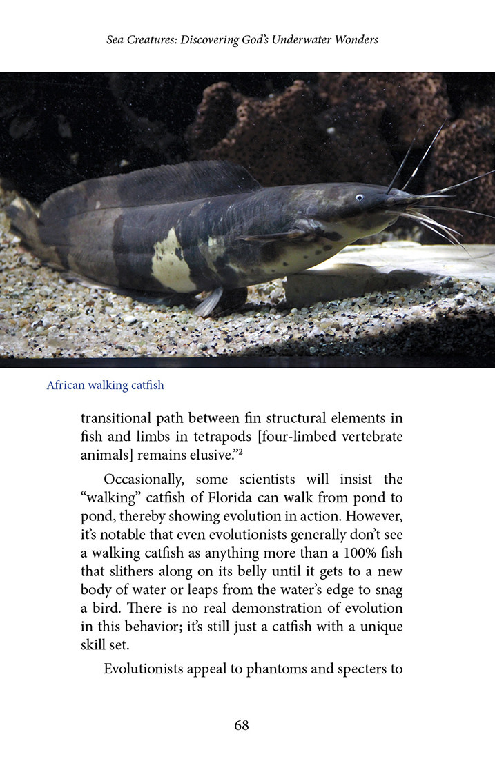 Sea Creatures: Discovering God’s Underwater Wonders - Institute for ...
