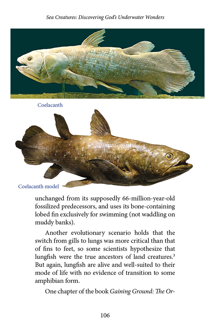 Sea Creatures: Discovering God’s Underwater Wonders - Institute for ...