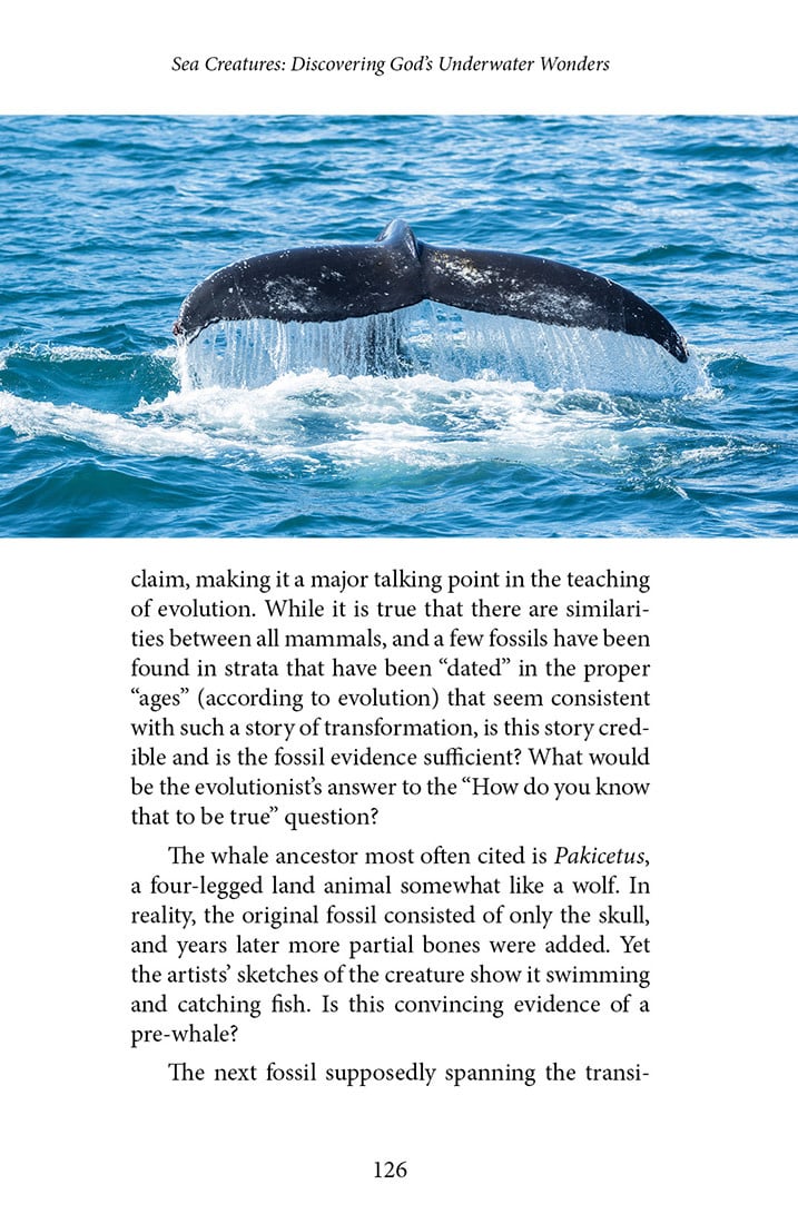 Sea Creatures: Discovering God’s Underwater Wonders - Institute for ...