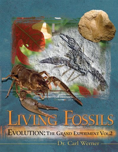 Living Fossils Evolution: The Grand Experiment Vol. 2 - Institute for ...