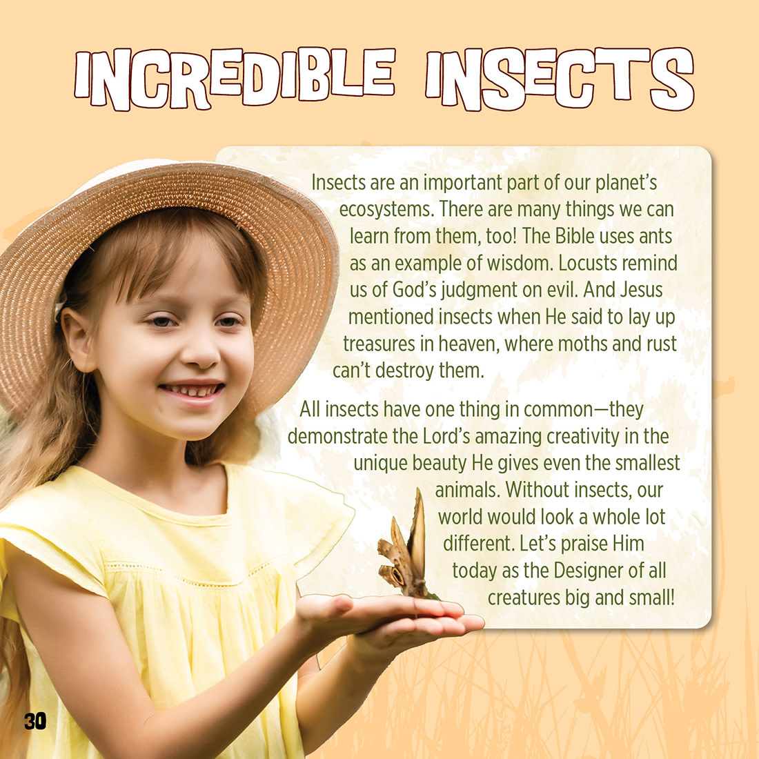 God Created Insects - Institute for Creation Research
