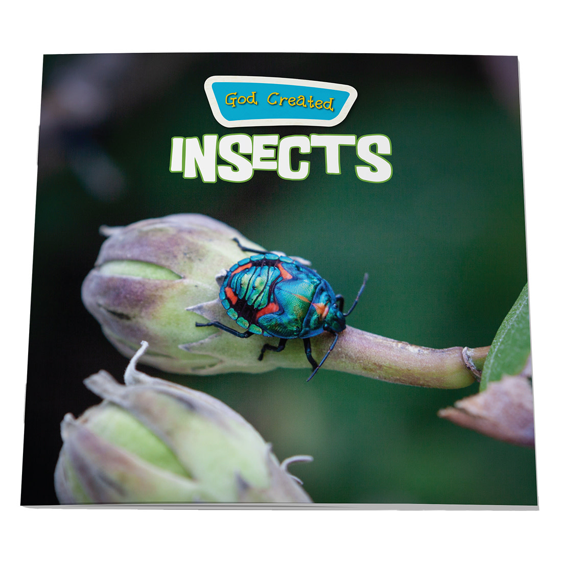 God Created Insects - Institute for Creation Research