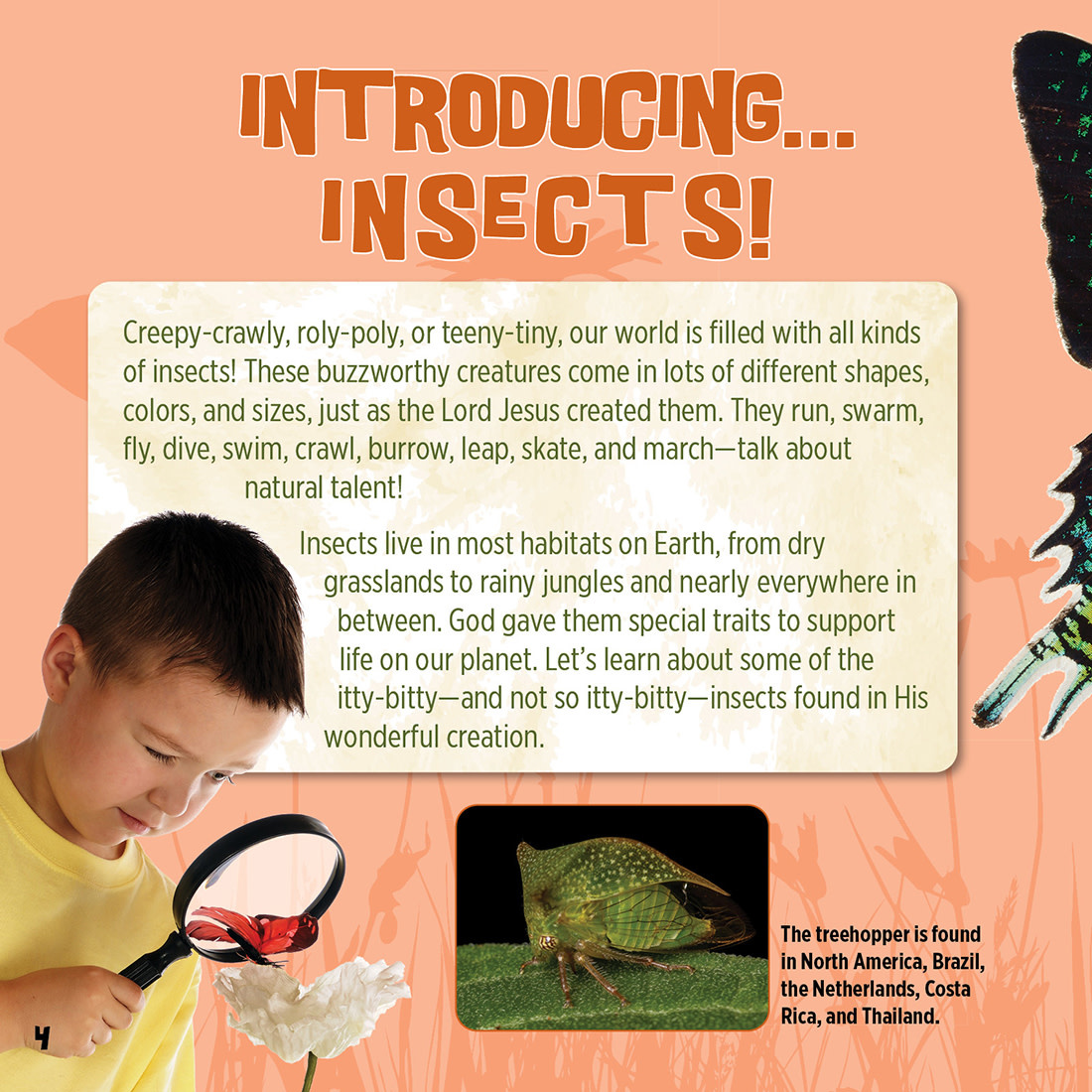 God Created Insects - Institute for Creation Research