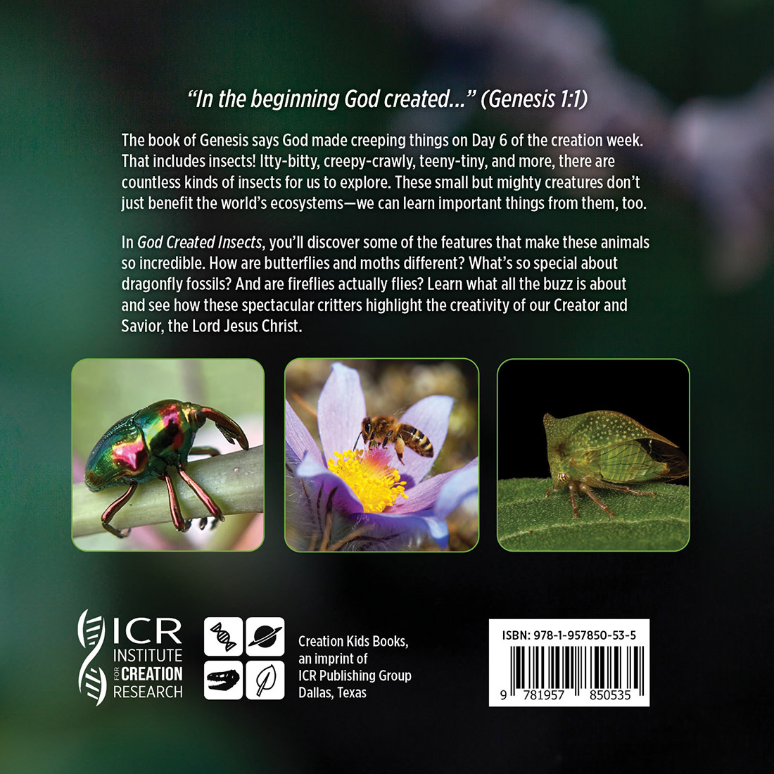 God Created Insects - Institute for Creation Research