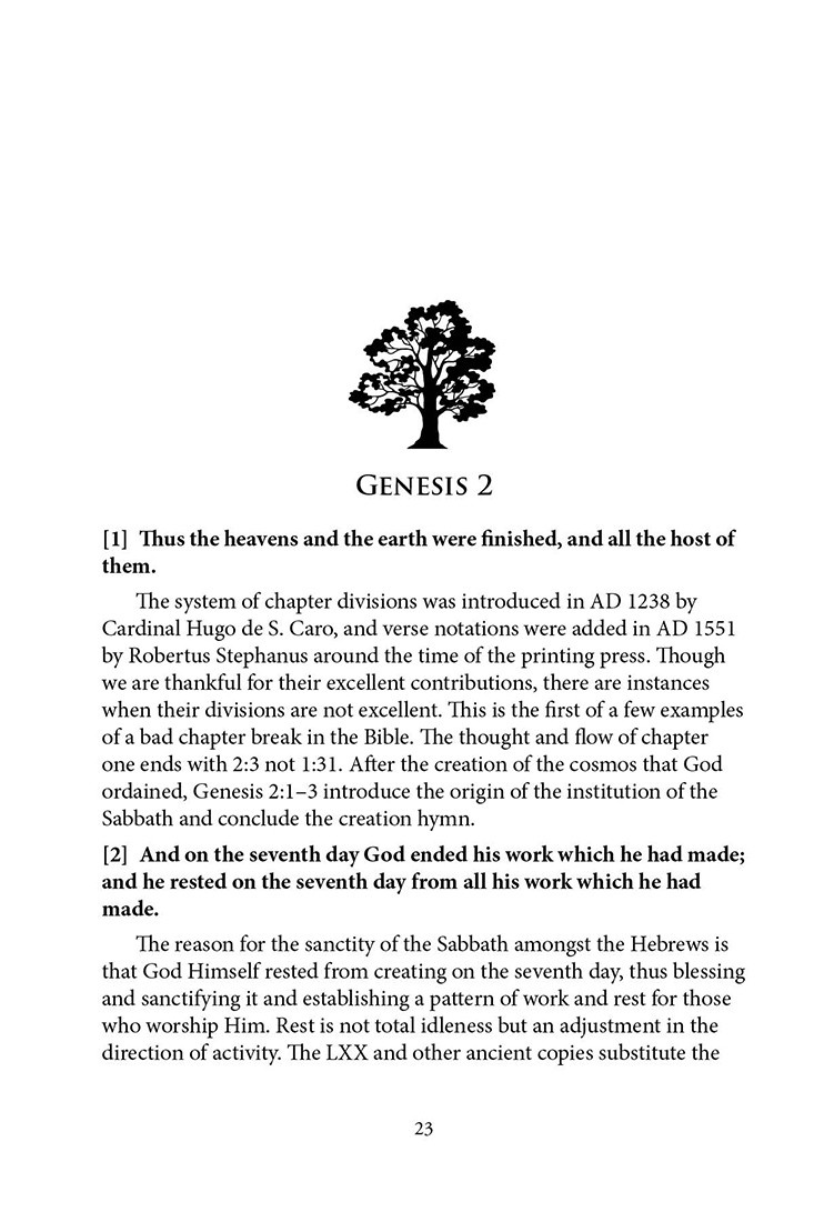 The Torah, Volume 1: A Verse-by-Verse Guide to Genesis - Institute for ...