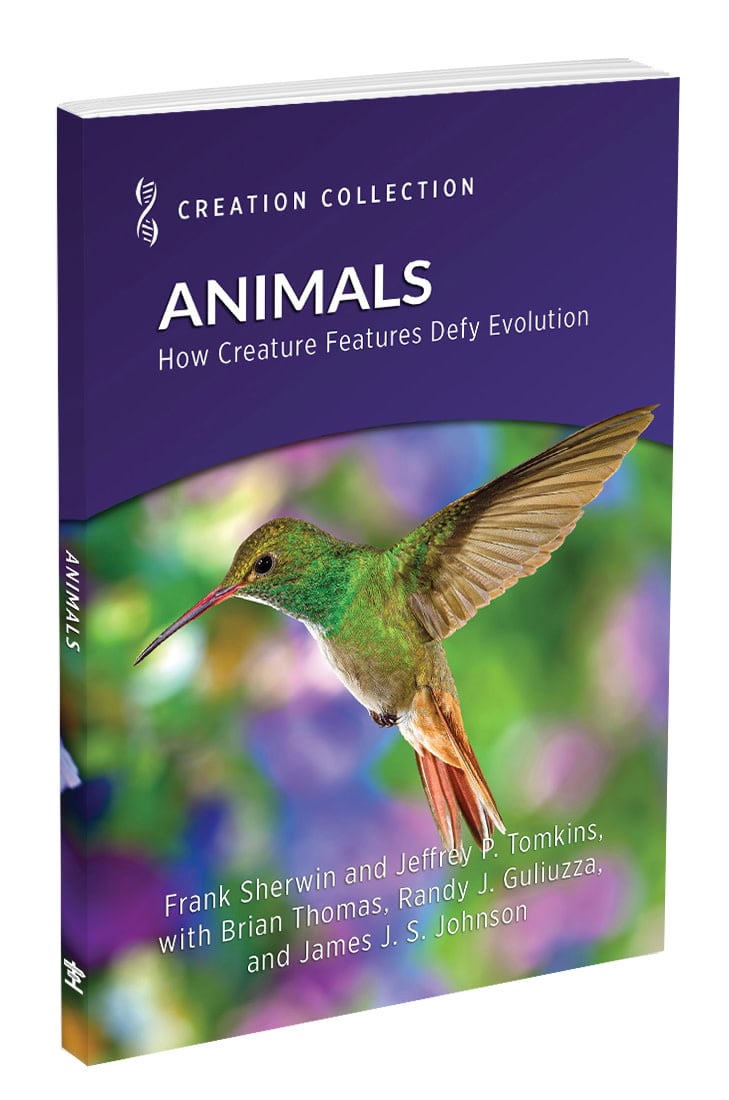 Animals: How Creature Features Defy Evolution - Institute for Creation ...