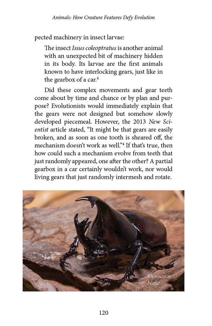 Animals: How Creature Features Defy Evolution - Institute for Creation ...