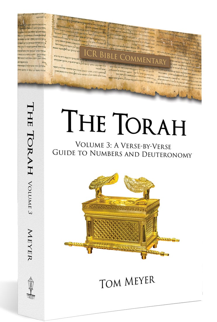 The Torah, Volume 3: A Verse-by-Verse Guide to Numbers and Deuteronomy ...