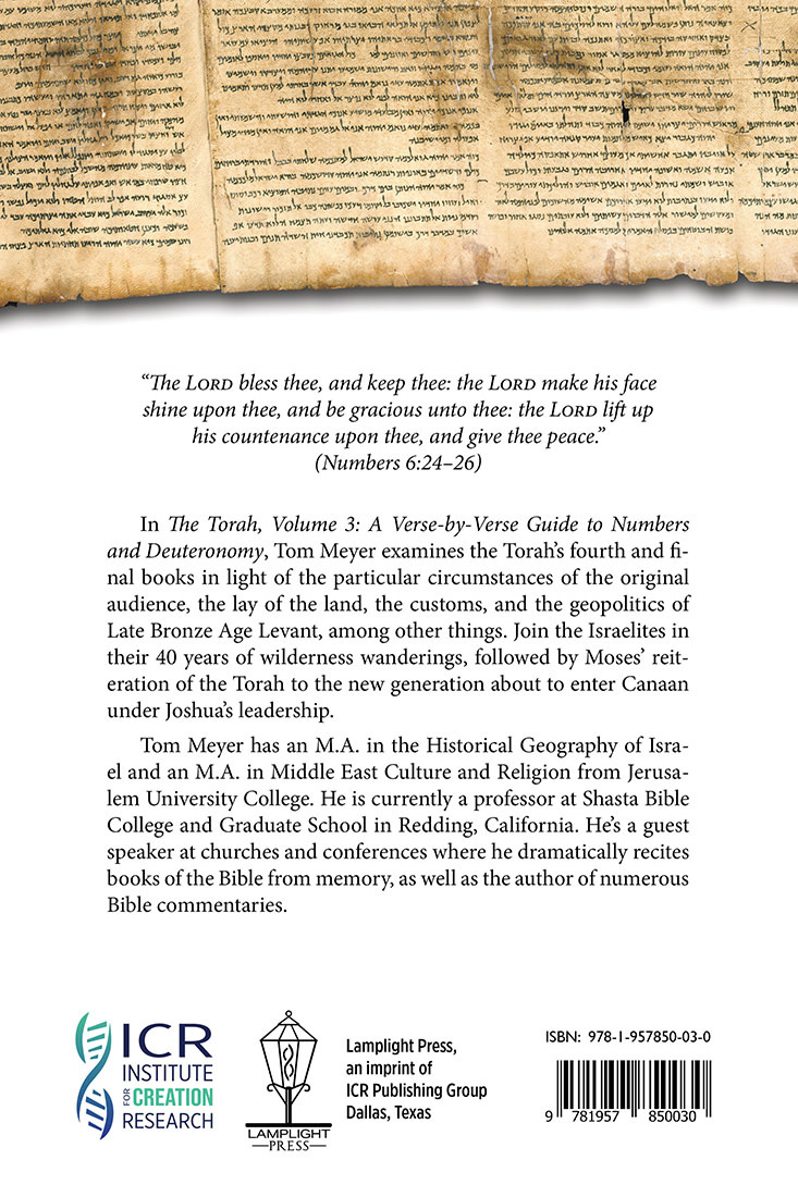 The Torah, Volume 3: A Verse-by-Verse Guide to Numbers and Deuteronomy ...