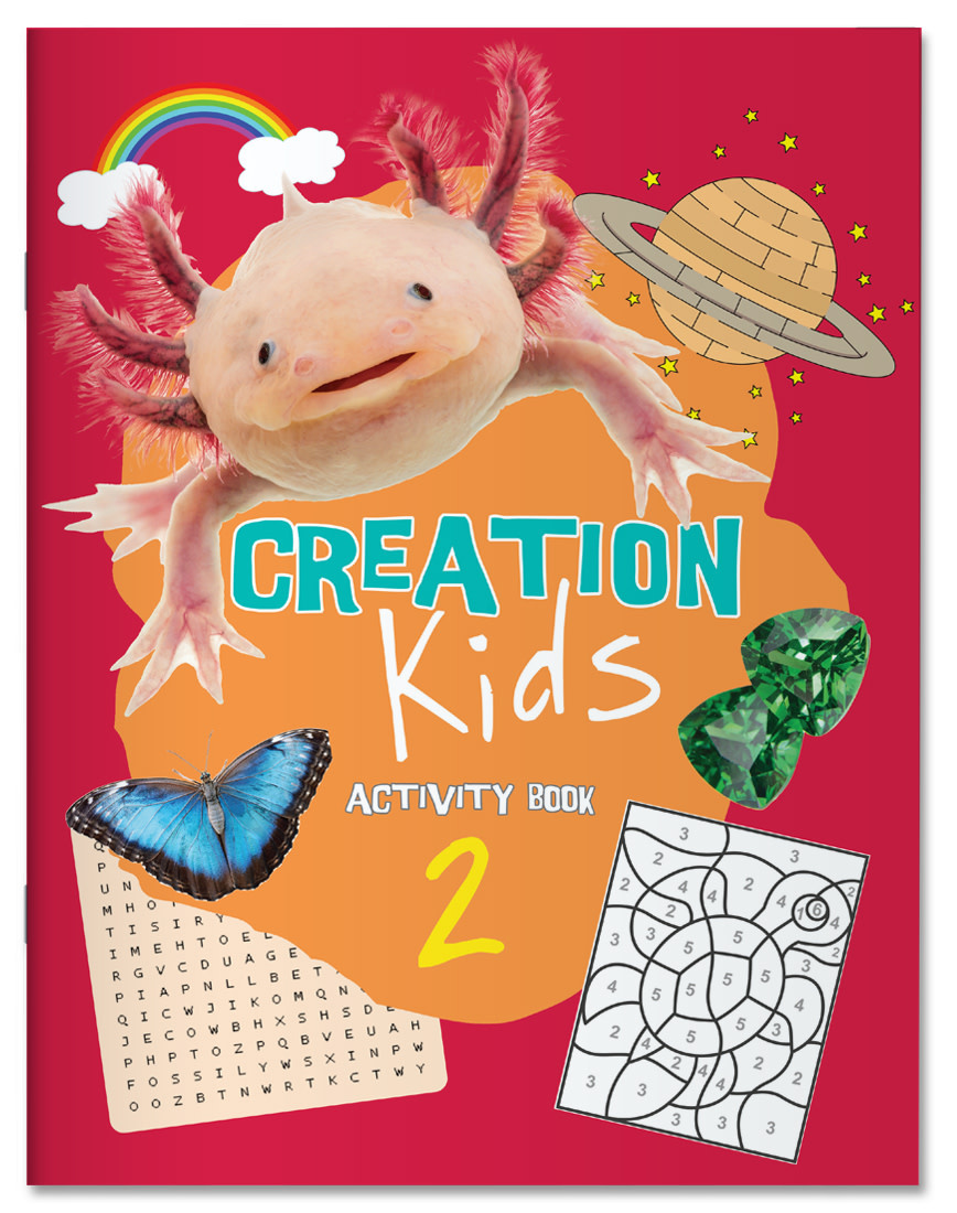 Creation Kids Activity Book 2 - Institute for Creation Research