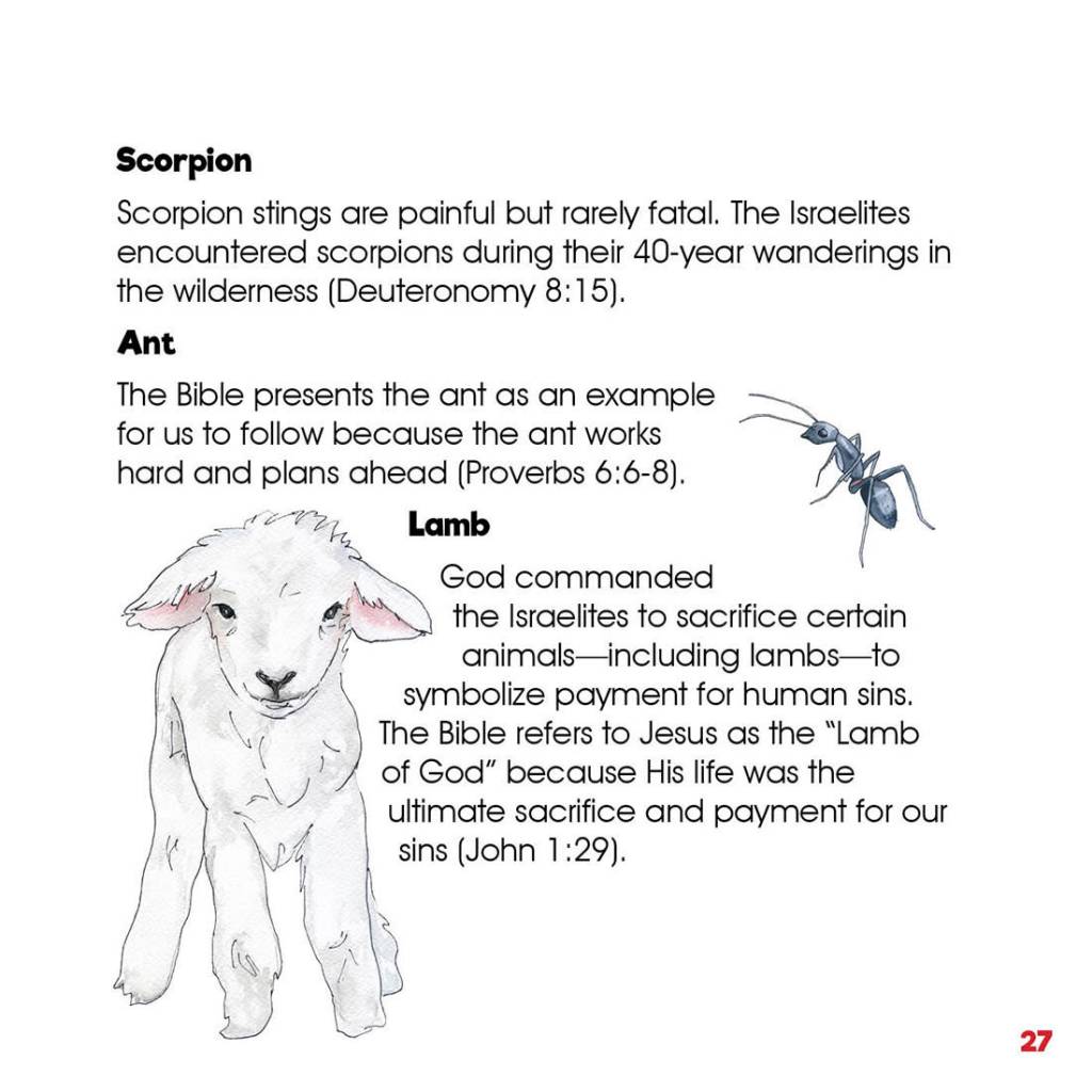 Animals by Design: Exploring Unique Creature Features - Institute for ...