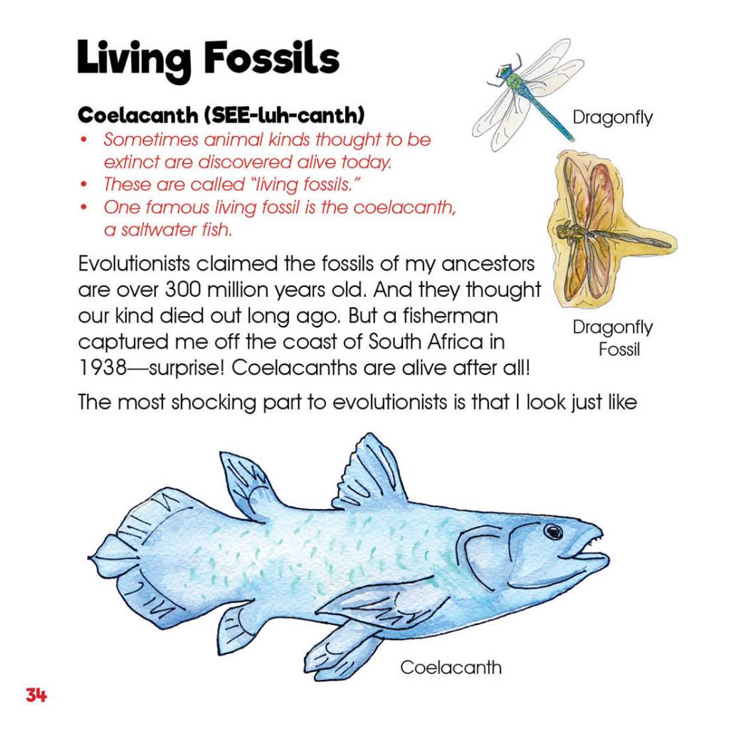 Animals by Design: Exploring Unique Creature Features - Institute for ...