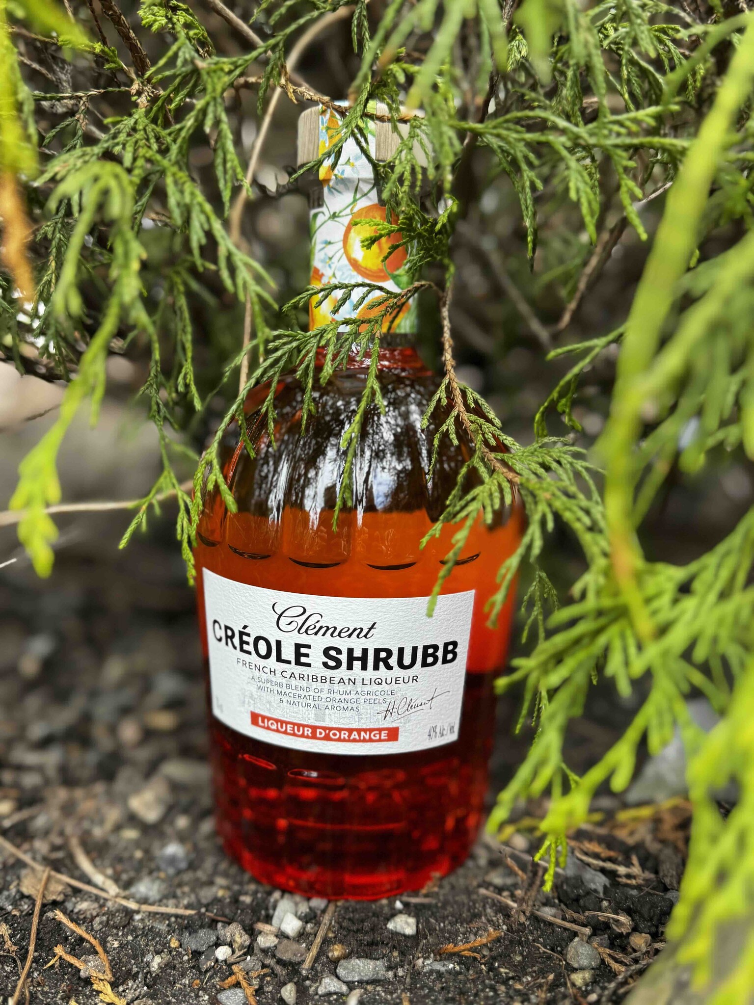 CLÉMENT CRÉOLE SHRUBB ORANGE RUM LIQUEUR 700ML - Grapes & Grains