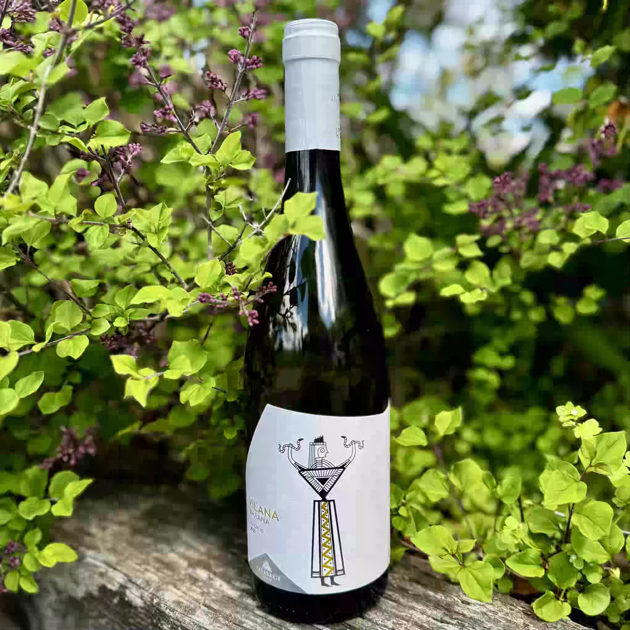 LYRARAKIS 'The QUEEN' VILANA DRY WHITE CRETE ORGANIC 750ML - Grapes ...