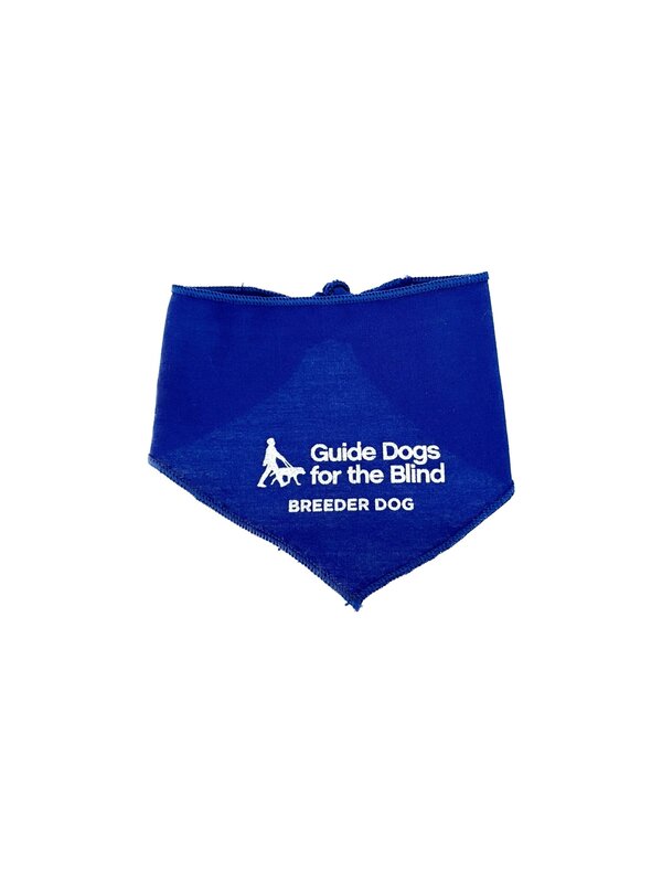 Plush - Guide Dogs for the Blind