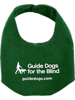 Plush - Guide Dogs for the Blind