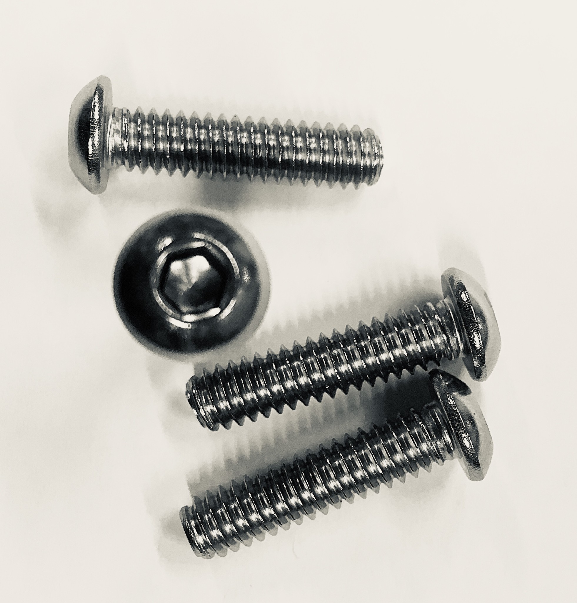 Aquaglide Fastener Set of 4 - 1" length - Aquabatics Smithers