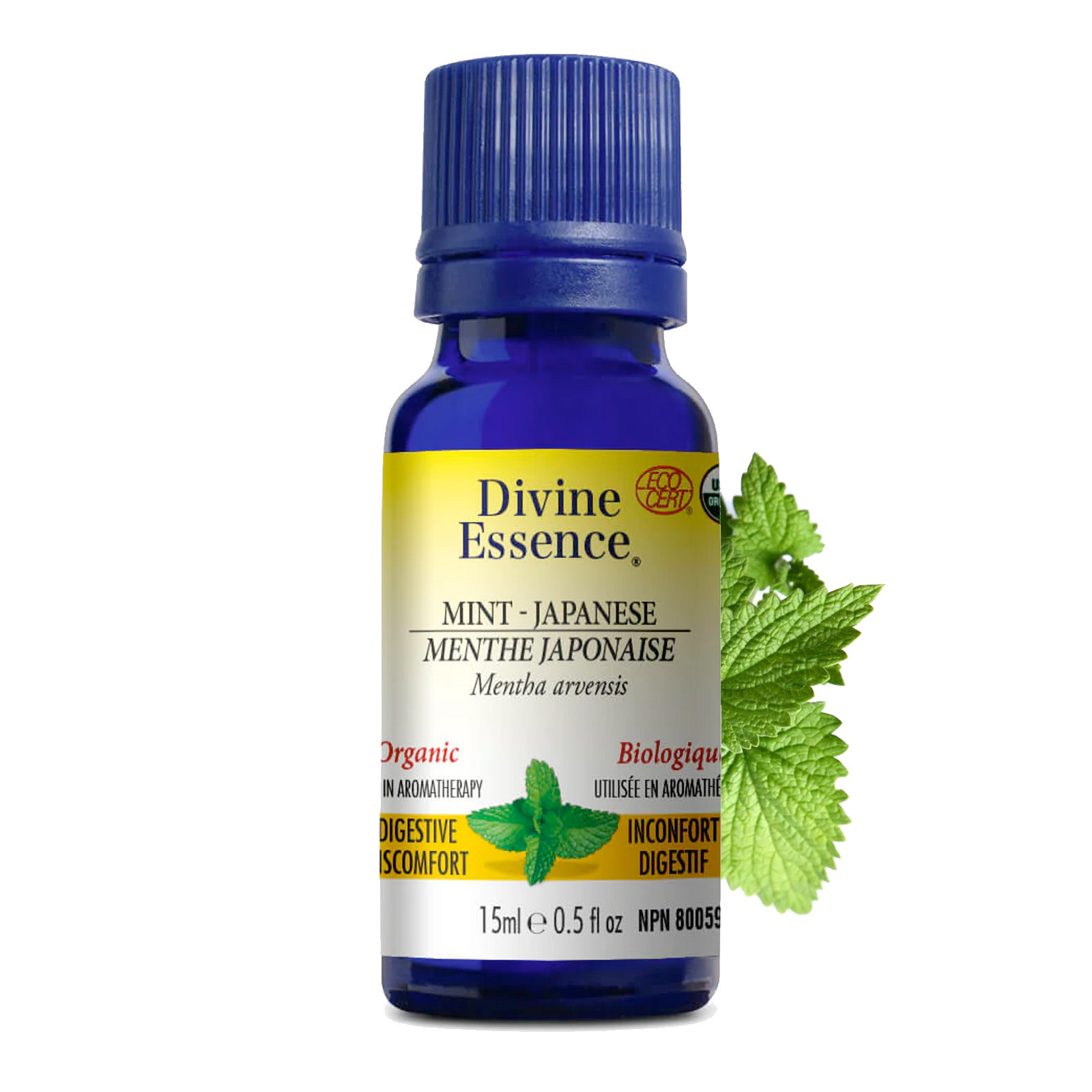 Huile essentielle Menthe Arvensis bio (Mentha arvensis) 15 ml - Eco ...