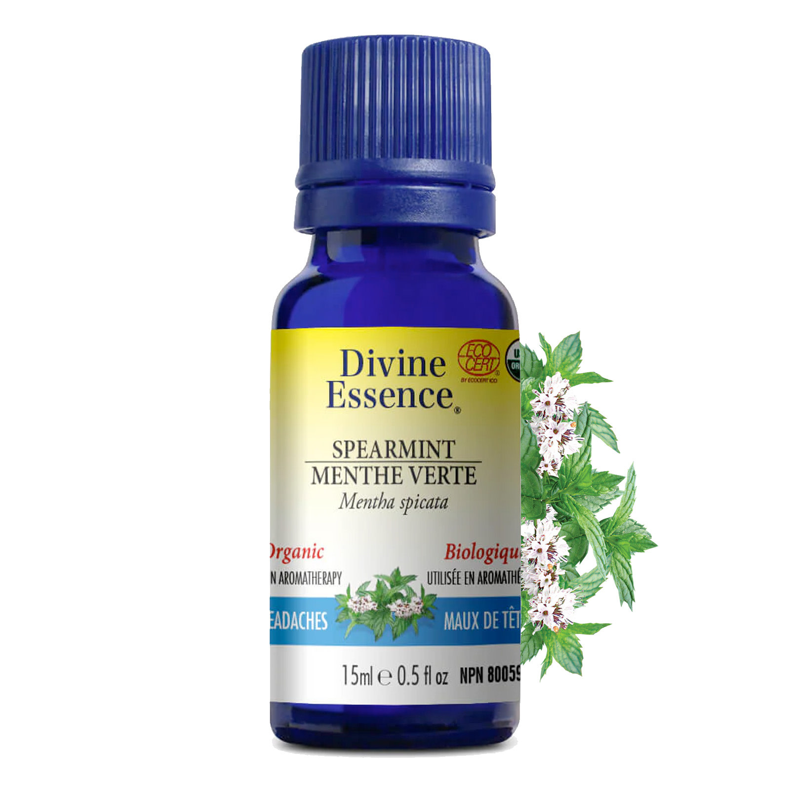Huile essentielle Menthe verte bio - Divine Essence - Achat en ligne ...