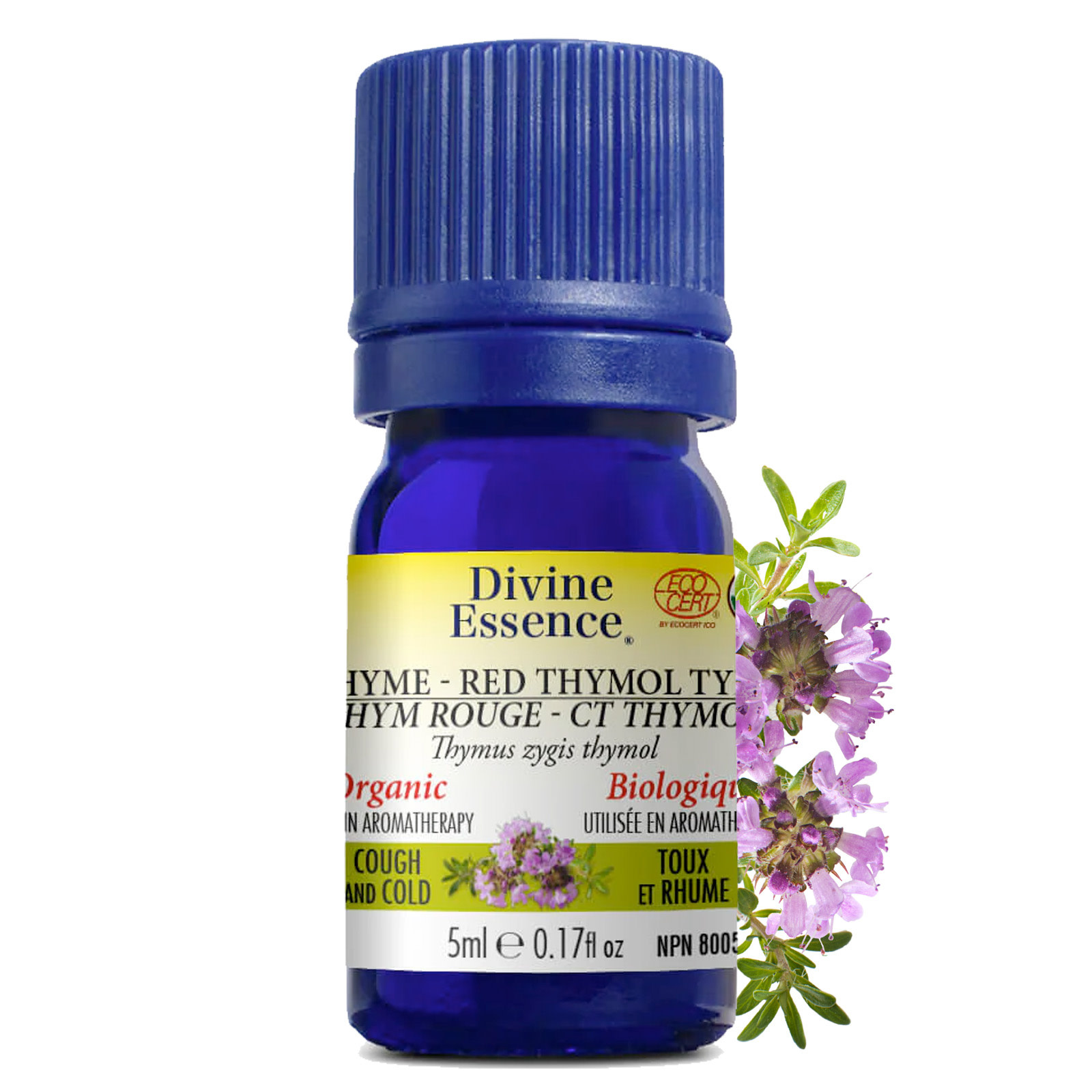Huile essentielle Thym Rouge bio (Thymus zygis thymol) 5 ml - Eco ...