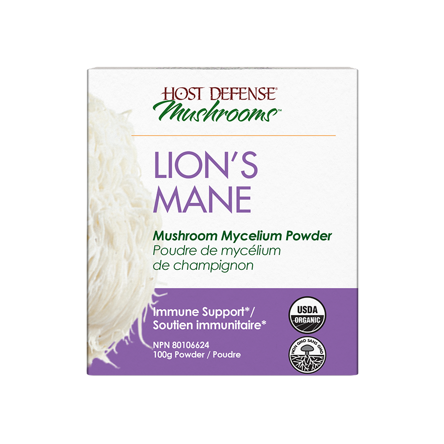Lion's Mane (Hydne du hérisson) - - Eco-Boutique Un Monde A Vie