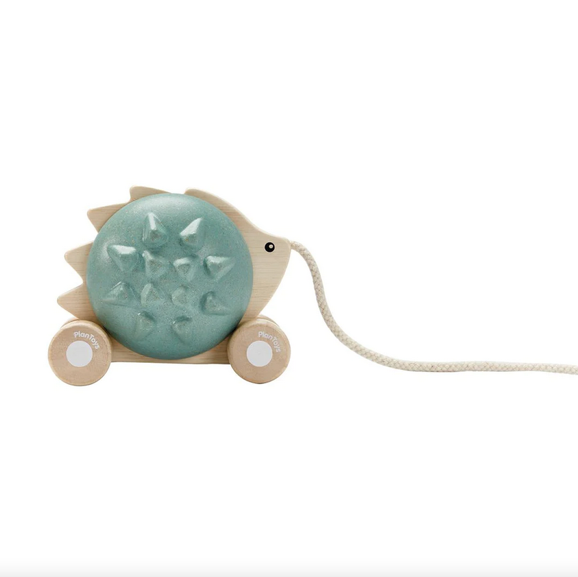 Pull Along Hedgehog - Fiddlesticks