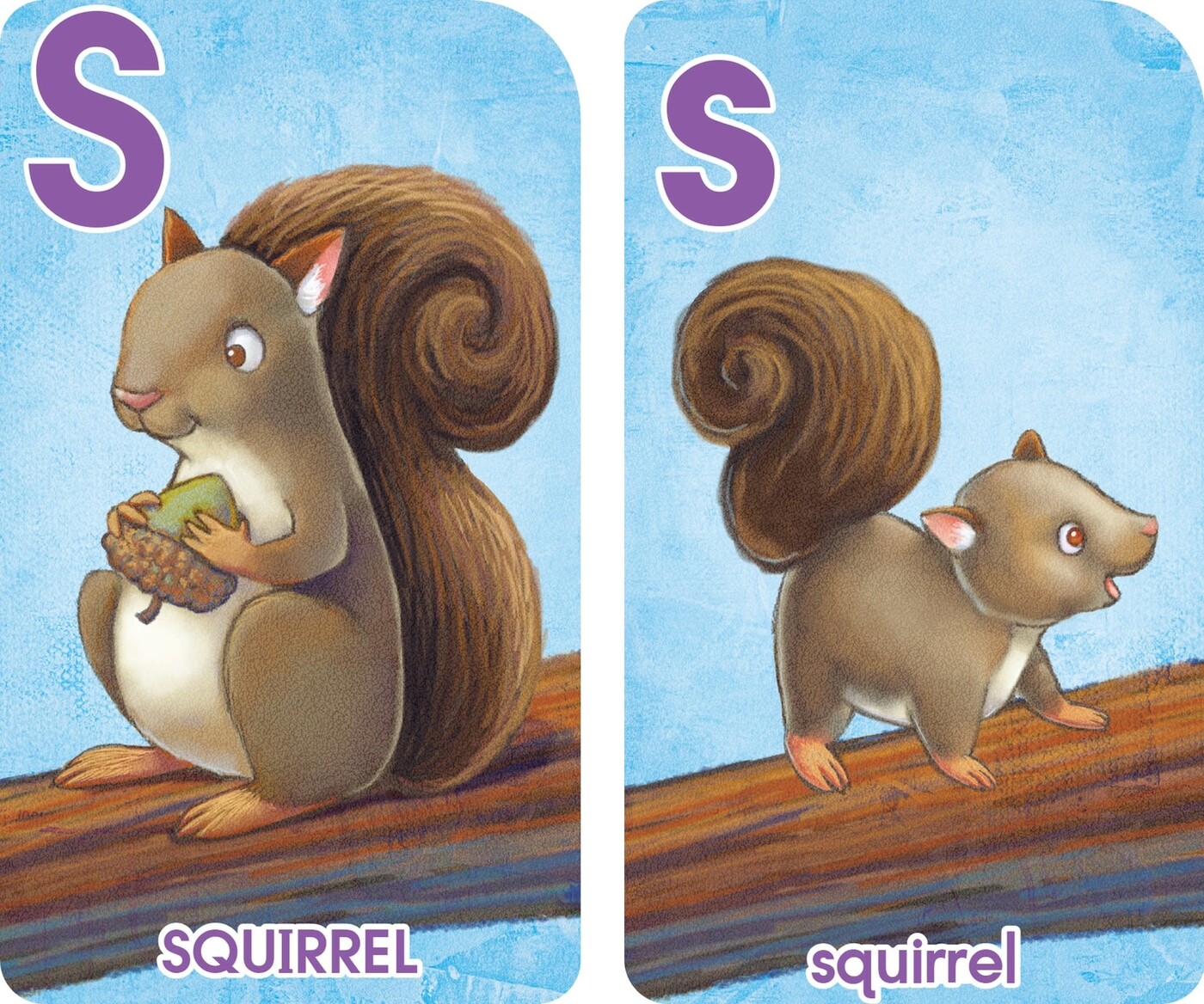 School Zone Flash Cards Go Fish Alphabet - Minds Alive! Toys Crafts Books