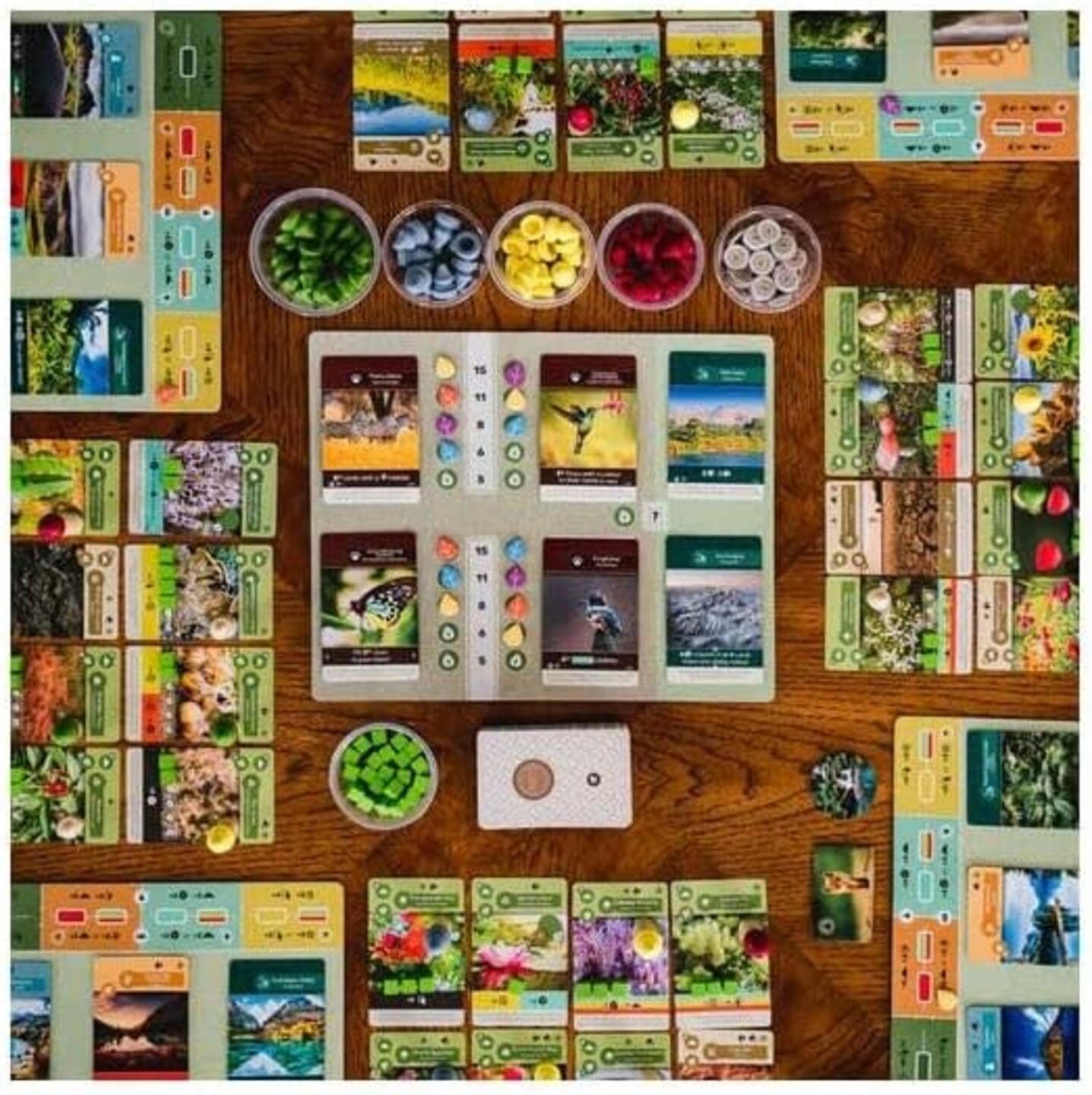 Earth Board Game - Minds Alive! Toys Crafts Books