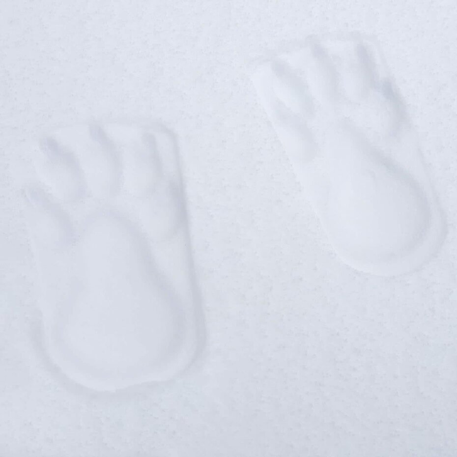 Snow Sector Bear Feet Snow Stampers - Minds Alive! Toys Crafts Books