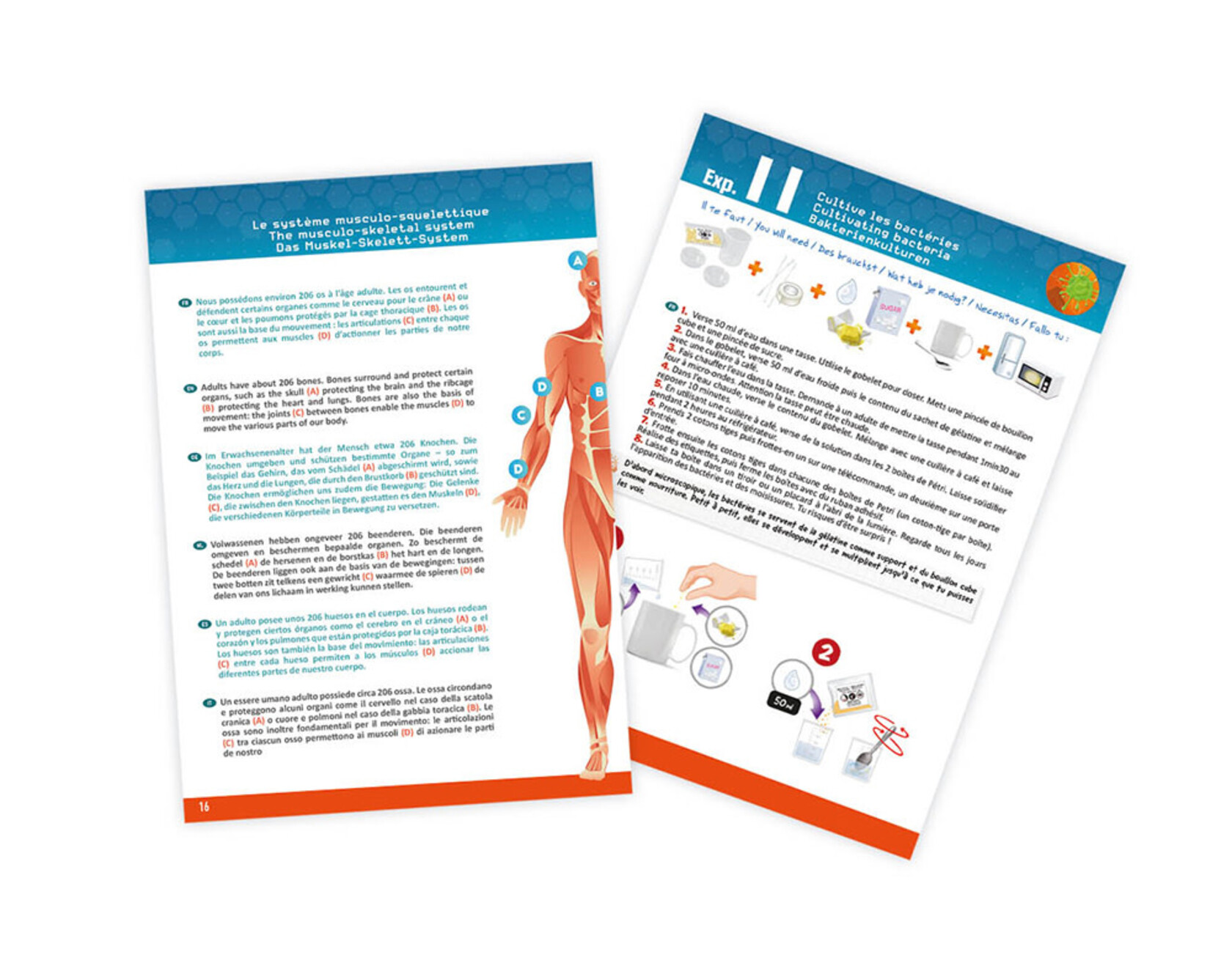 Buki Science Human Body Kit - Minds Alive! Toys Crafts Books