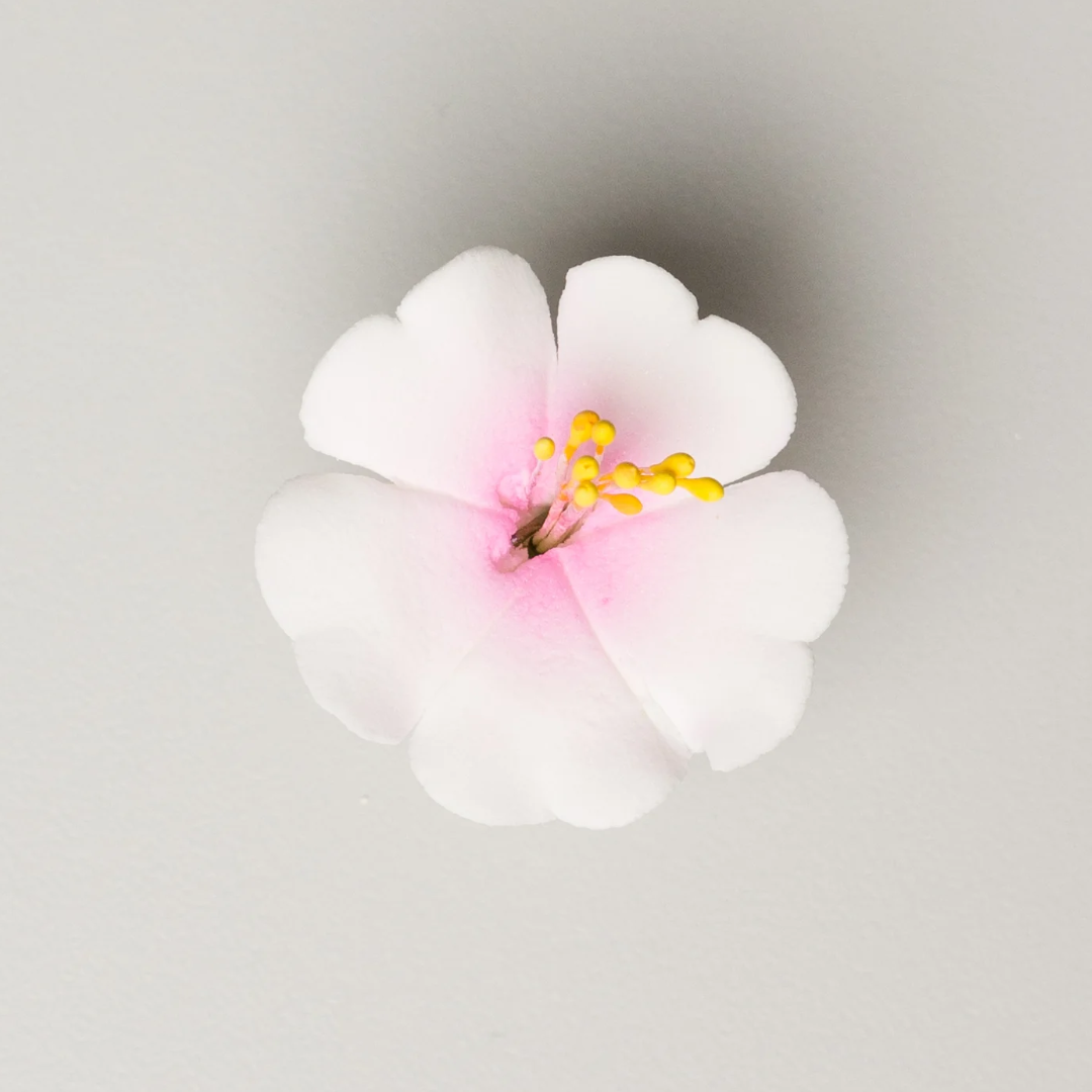 SUGAR FLOWER CHERRY BLOSSOM WHITE W/PINK 1.25 " (PACK OF 3) - eCakeSupply