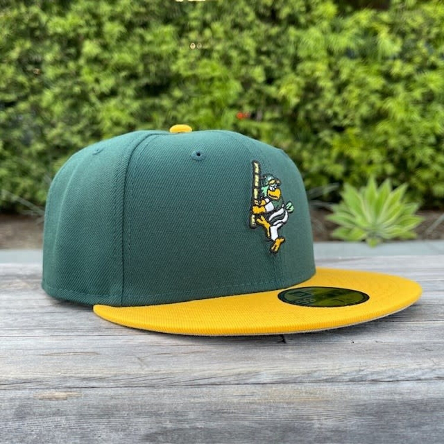 Caneros Green/Gold Swinging Bird - The Locker Room of Downey