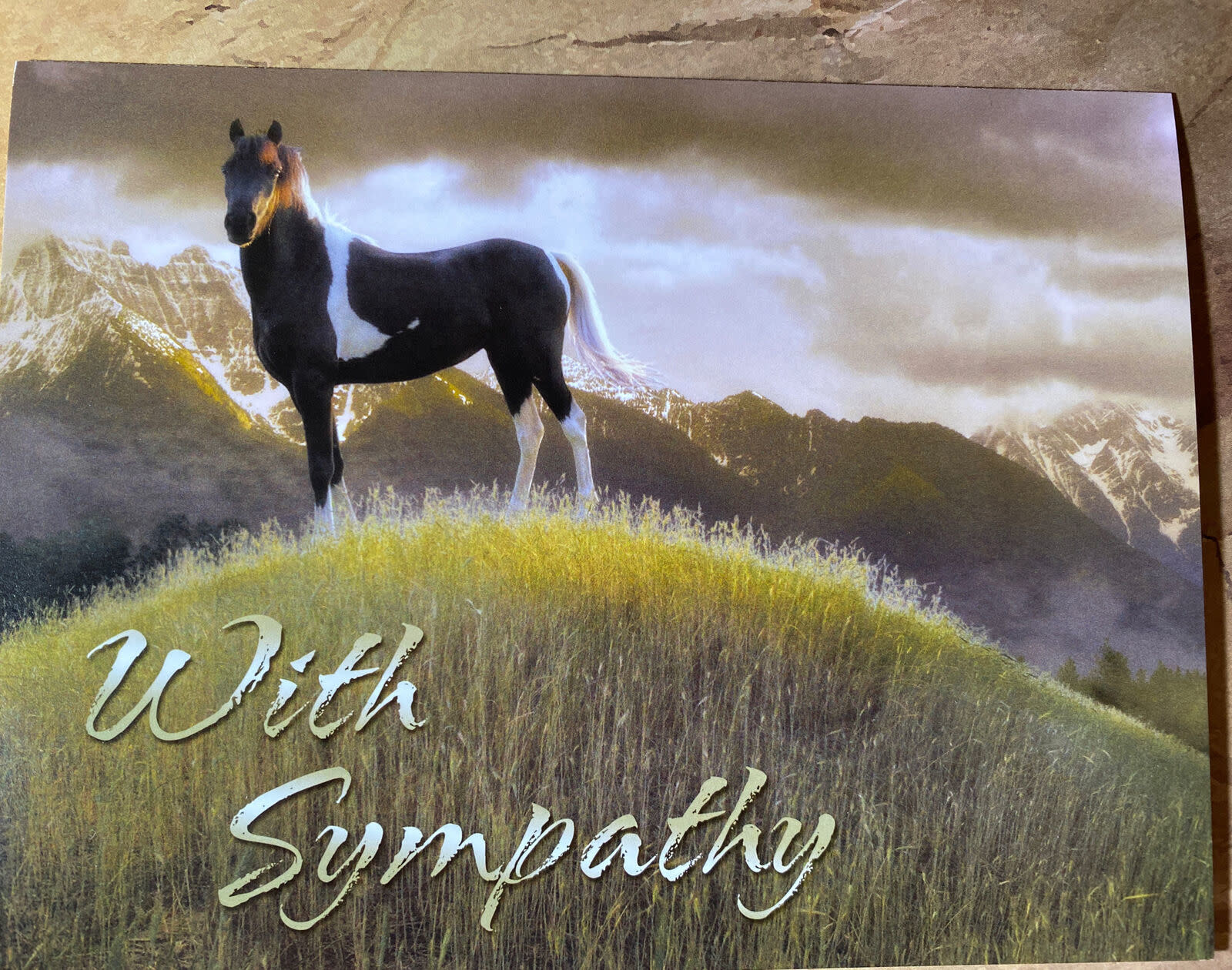 Leanin Tree With Sympathy - Anytime Tack