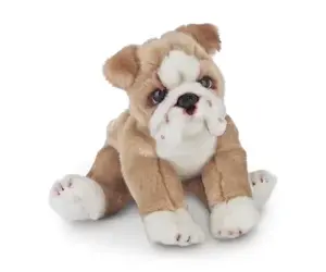 BEARINGTON COLLECTION DOG: - The Attic Door Home/Bella Vita