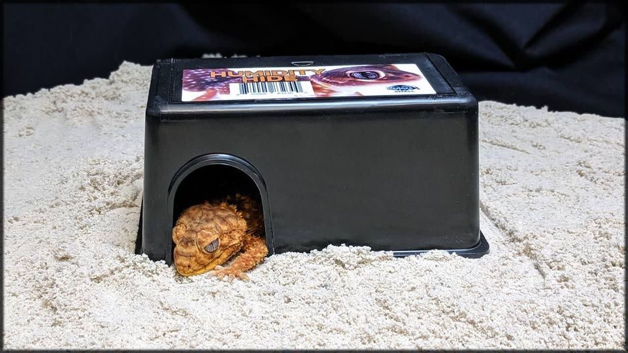 Cachette humide - Humidity Hide - Magazoo, l'Univers des Reptiles